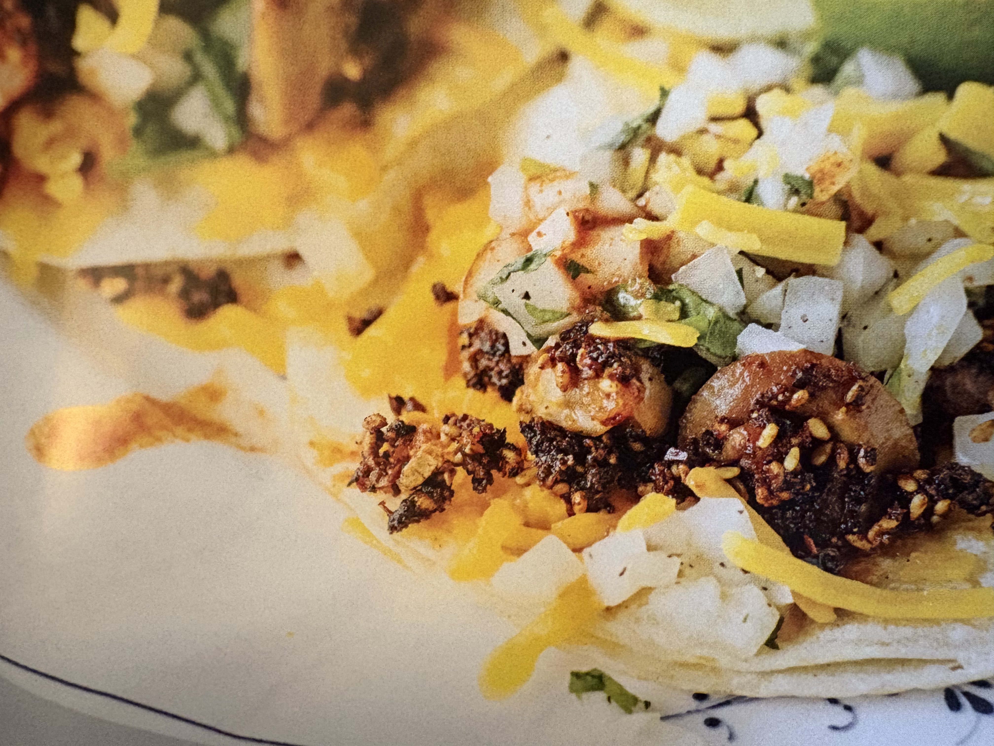 GIZZARDS – THE NORTH RIDING PROJECT